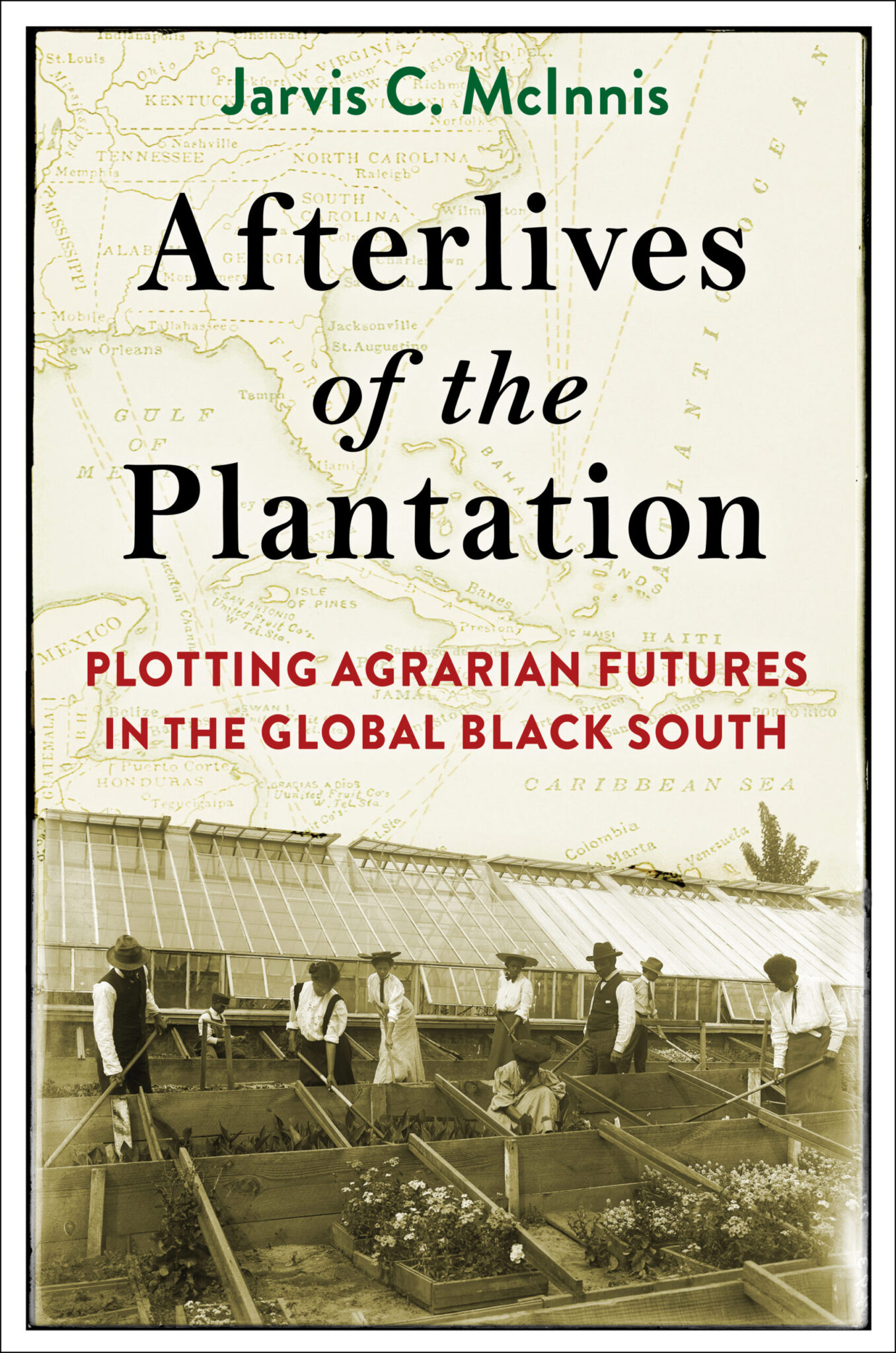 Afterlives of the Plantation: Plotting Agrarian Futures in the Global ...